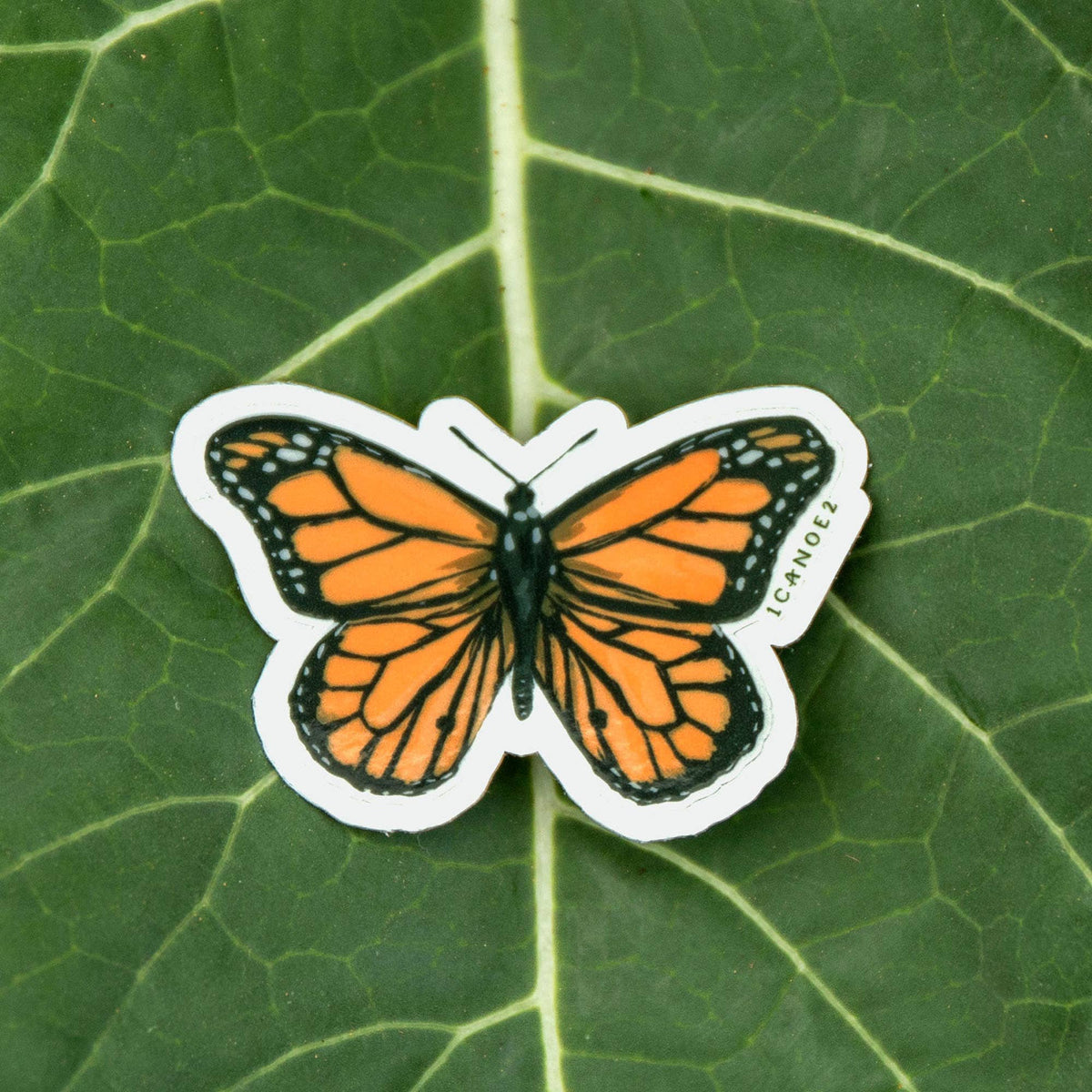 Monarch Butterfly Clear Decal Sticker | 1canoe2 | One Canoe Two Paper ...